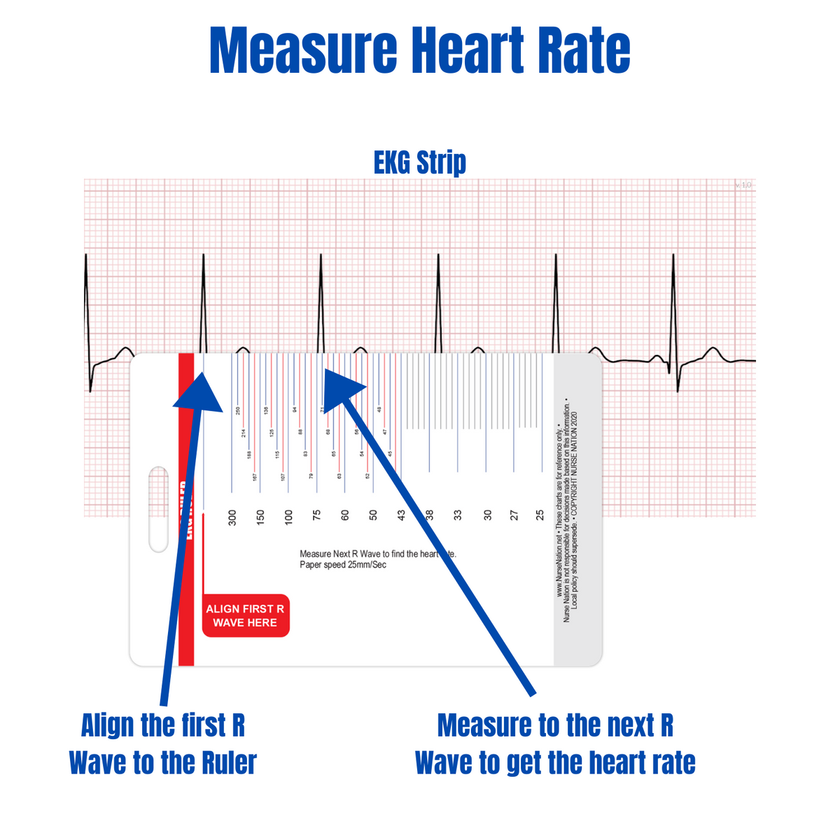 EKG Vertical Badge 6 Card Set w/ Bonus Cheat Sheets! – Nurse Nation